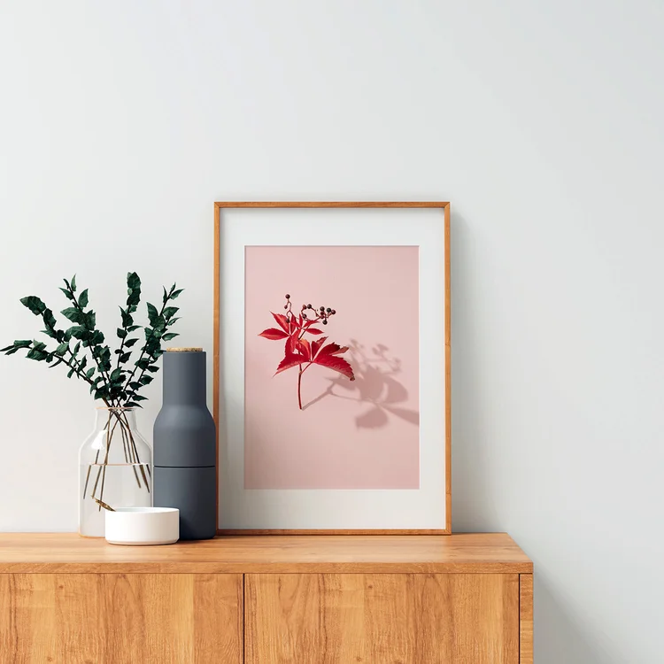 Open Edition Prints — Botanical inspired art, prints & greetings cards ...