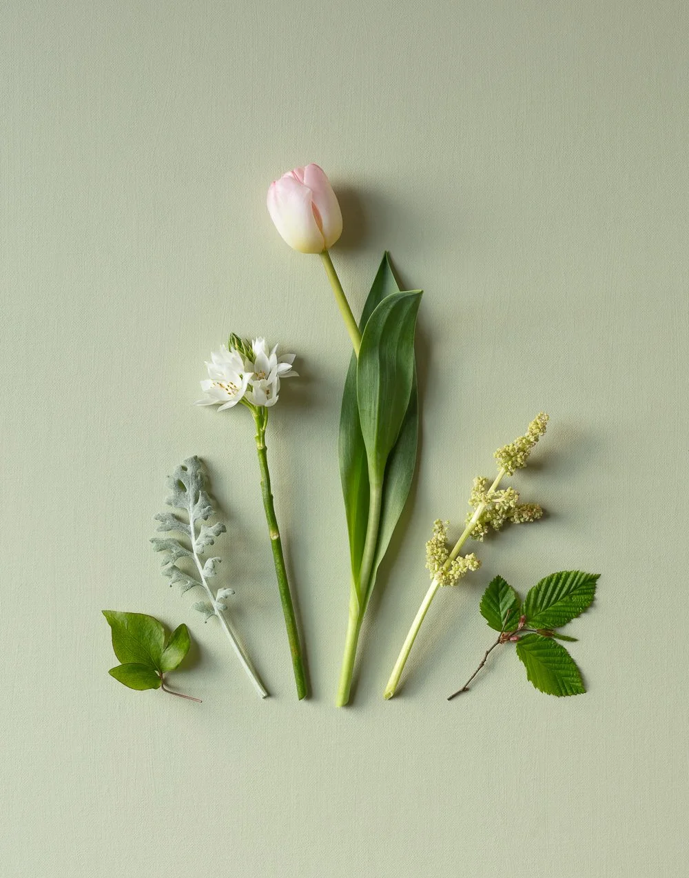 Still life with flowers (colour in nature) fine art photography, modern ...