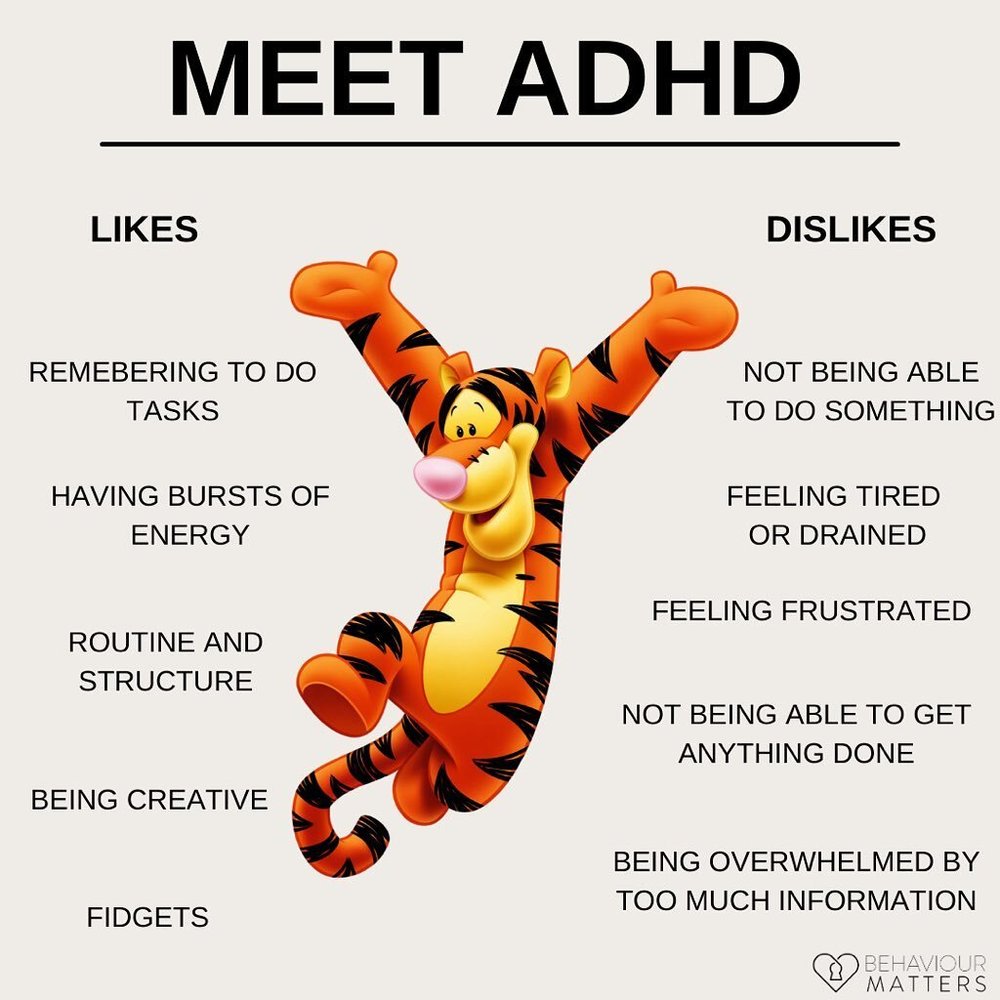 Help for Executive Functioning Disorder (EFD) — Behaviour Matters