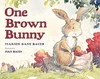 One Brown Bunny — Marion Dane Bauer