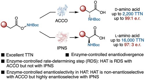 Publications — Yang Lab at UCSB