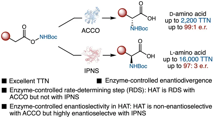 Publications — Yang Lab at UCSB
