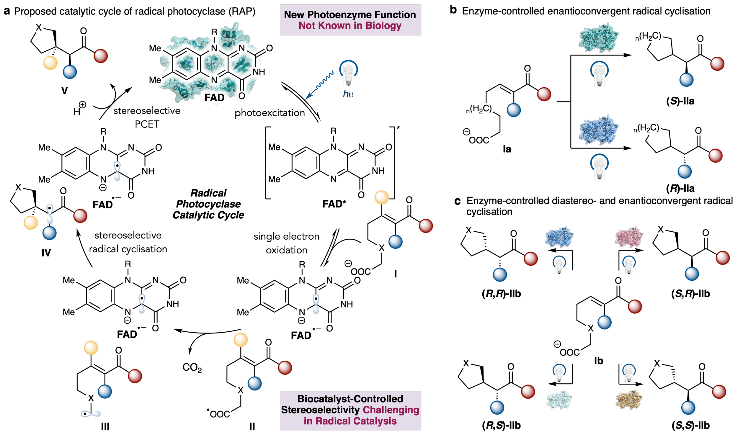 Publications — Yang Lab at UCSB