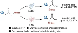 Publications — Yang Lab at UCSB