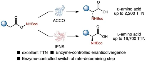 Publications — Yang Lab at UCSB