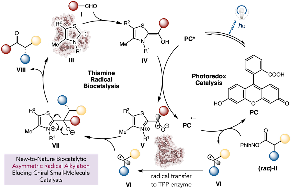 Publications — Yang Lab at UCSB