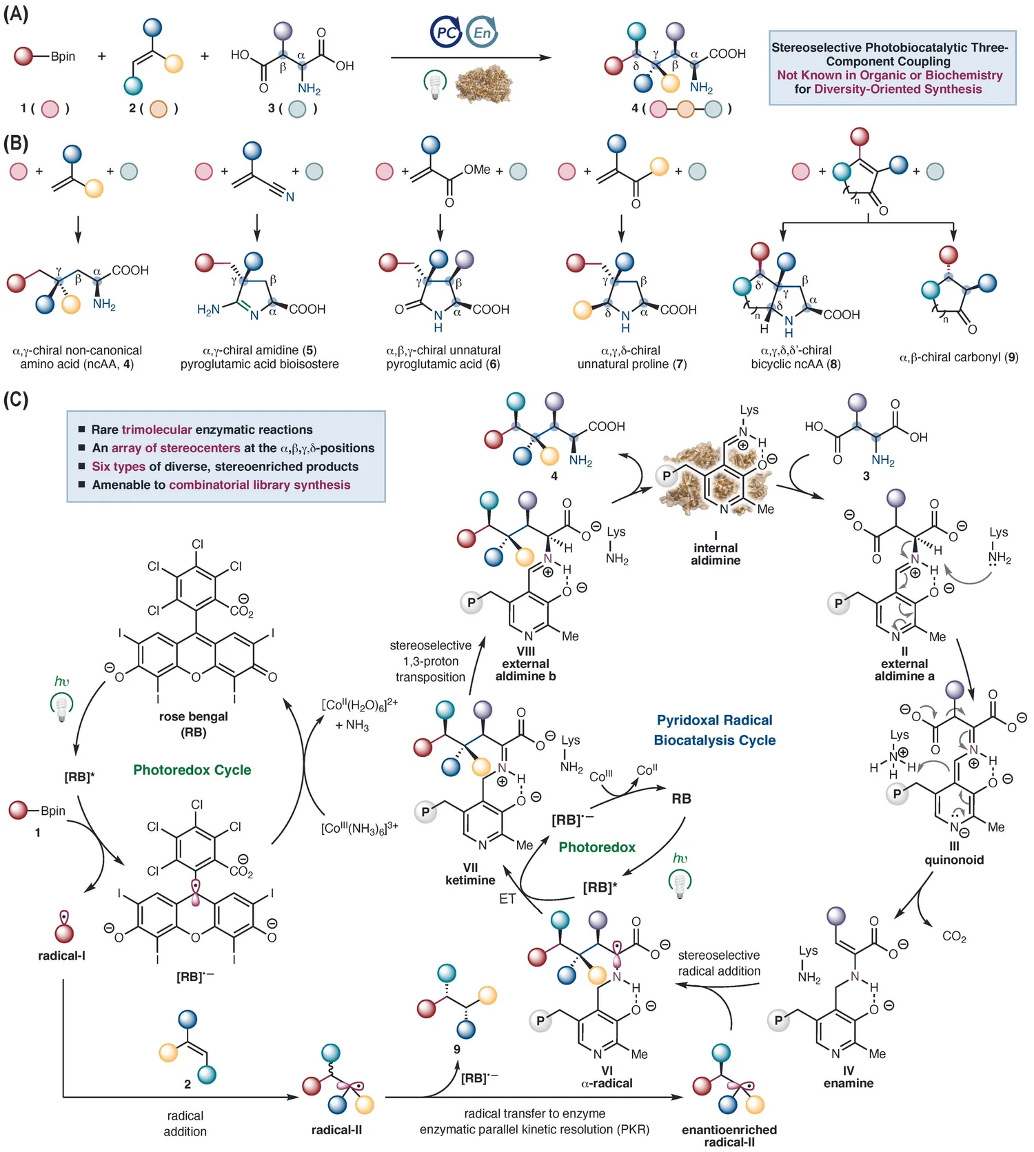 Publications — Yang Lab at UCSB