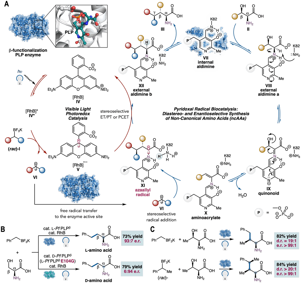 Publications — Yang Lab at UCSB