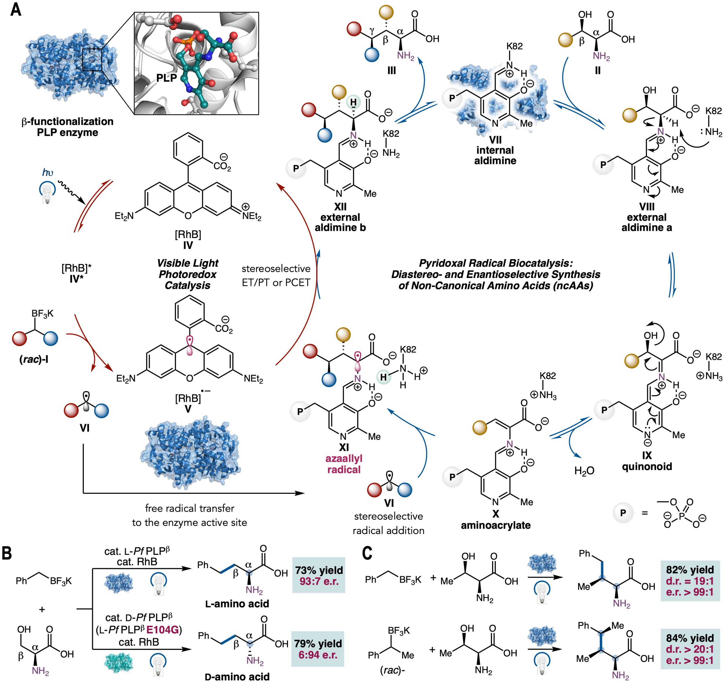 Publications — Yang Lab at UCSB