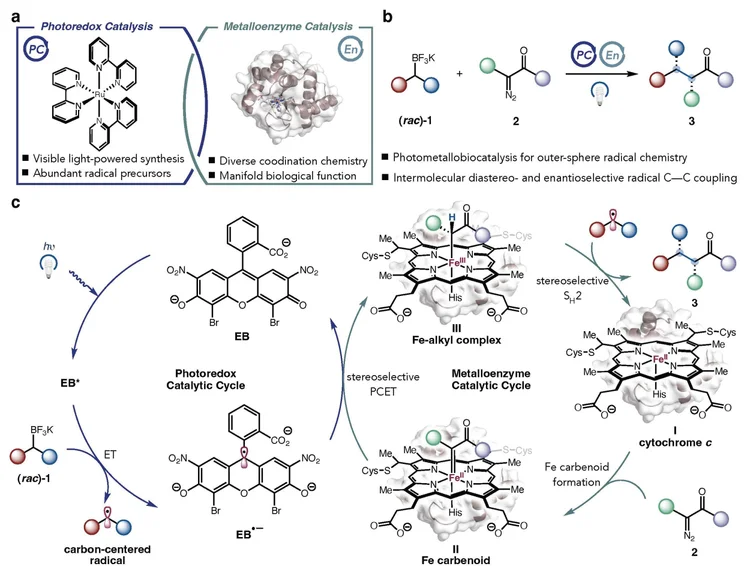 Publications — Yang Lab at UCSB