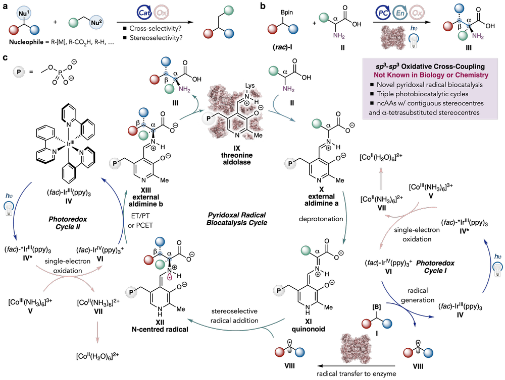 Publications — Yang Lab at UCSB
