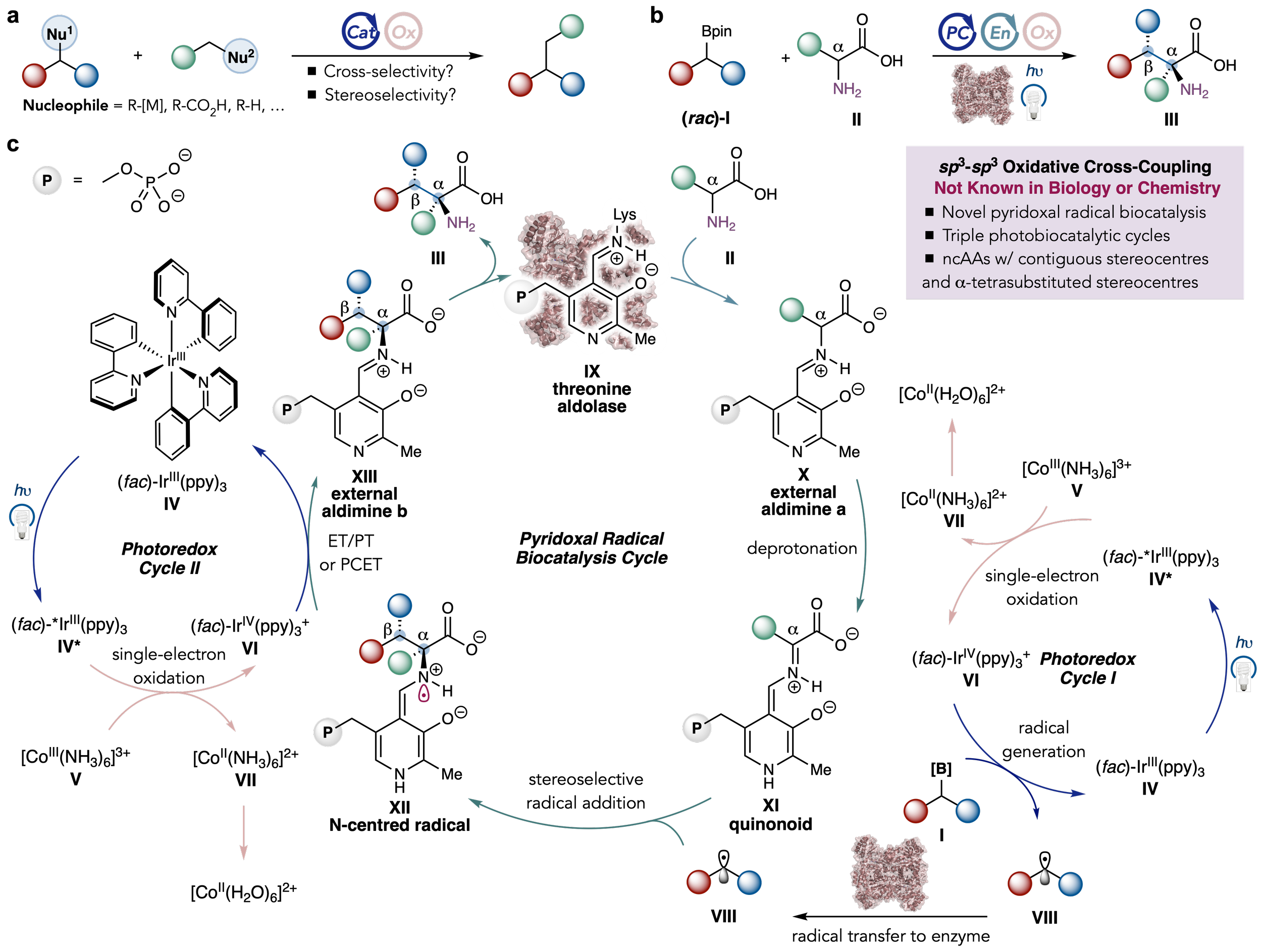 Publications — Yang Lab at UCSB