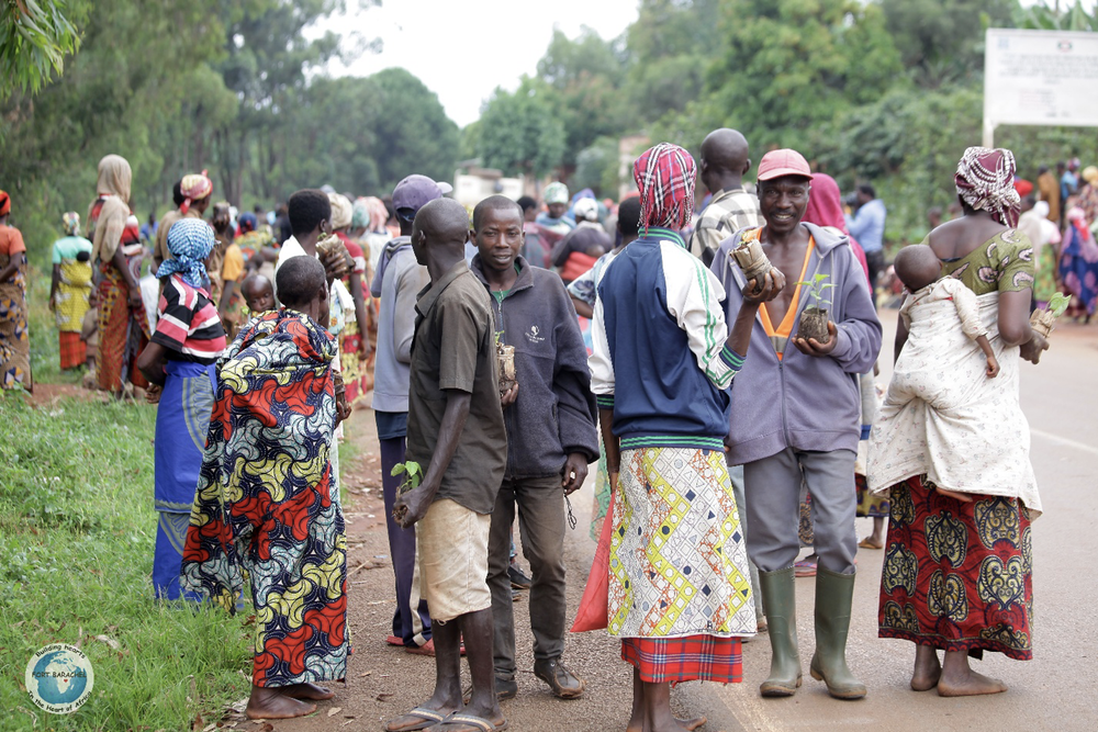 Advocating for Cultural Identity & Environmental Sustainability in ...