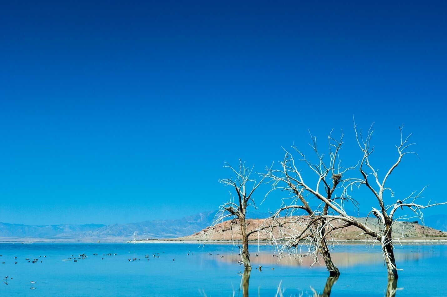 A plan for 'Lithium Valley' begins to take shape — Decentralised Energy ...