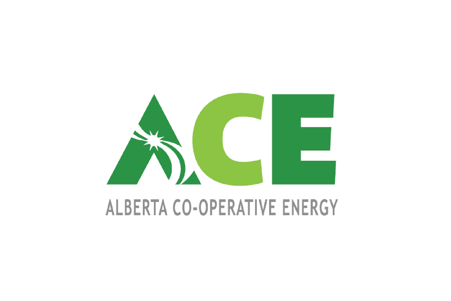 DEC Members — Decentralised Energy Canada