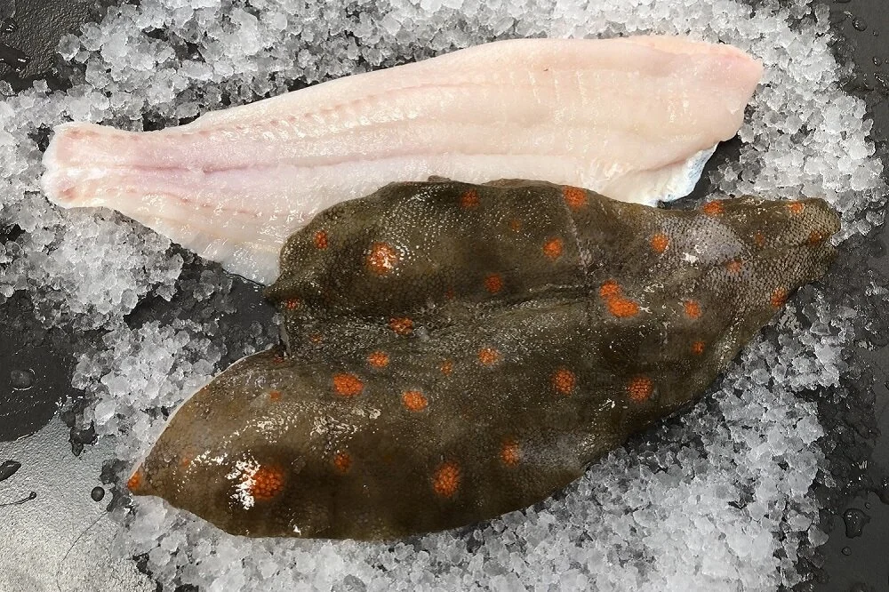 Plaice — Trident - Buy Fresh Fish Online