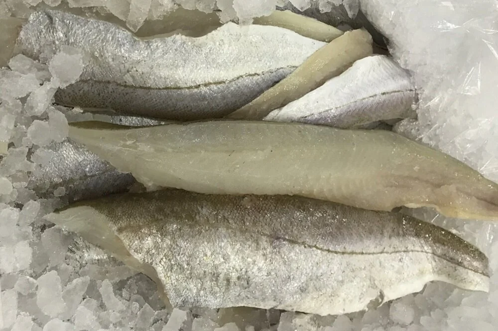 What Is Whiting Fish: Pacific Whiting Fish – PRVOE