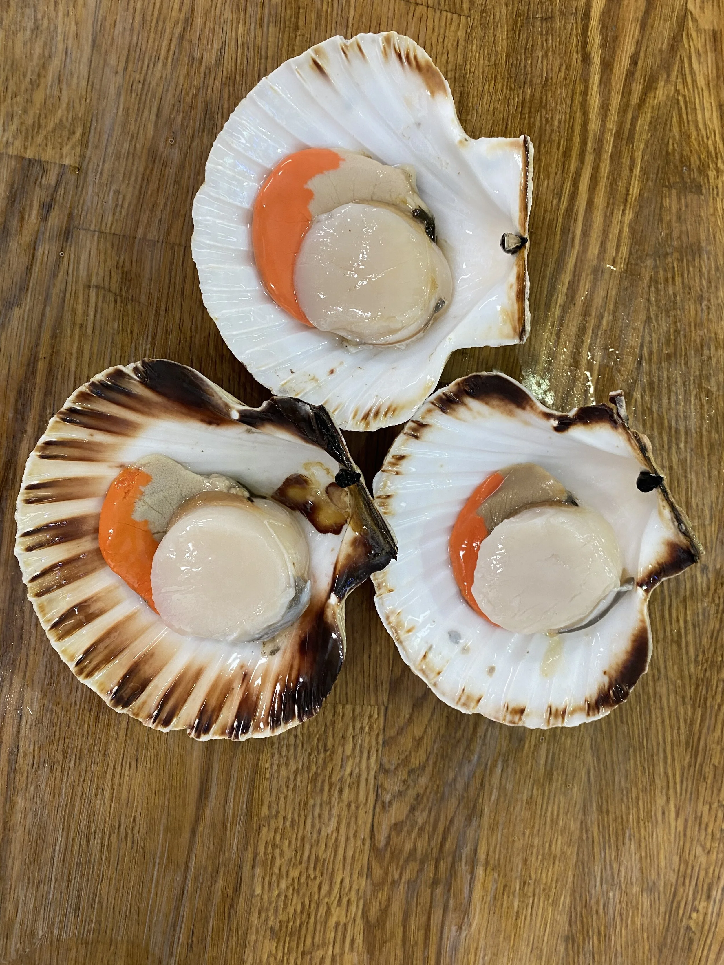 Scallops — Trident - Buy Fresh Fish Online