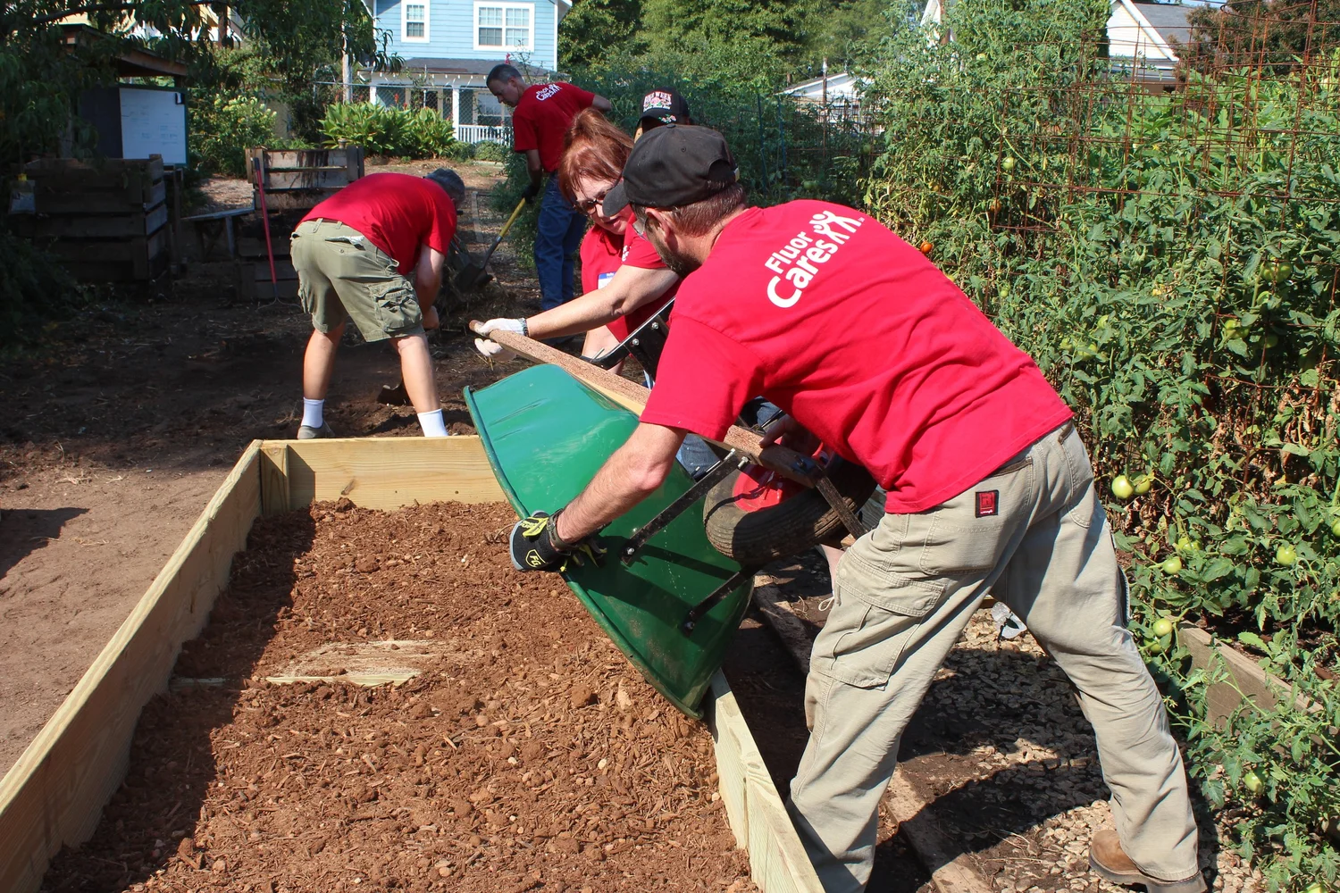 Volunteer — Project Host