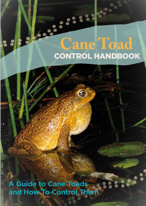 Cane Toad Control on the Containment Line — BRRVLN