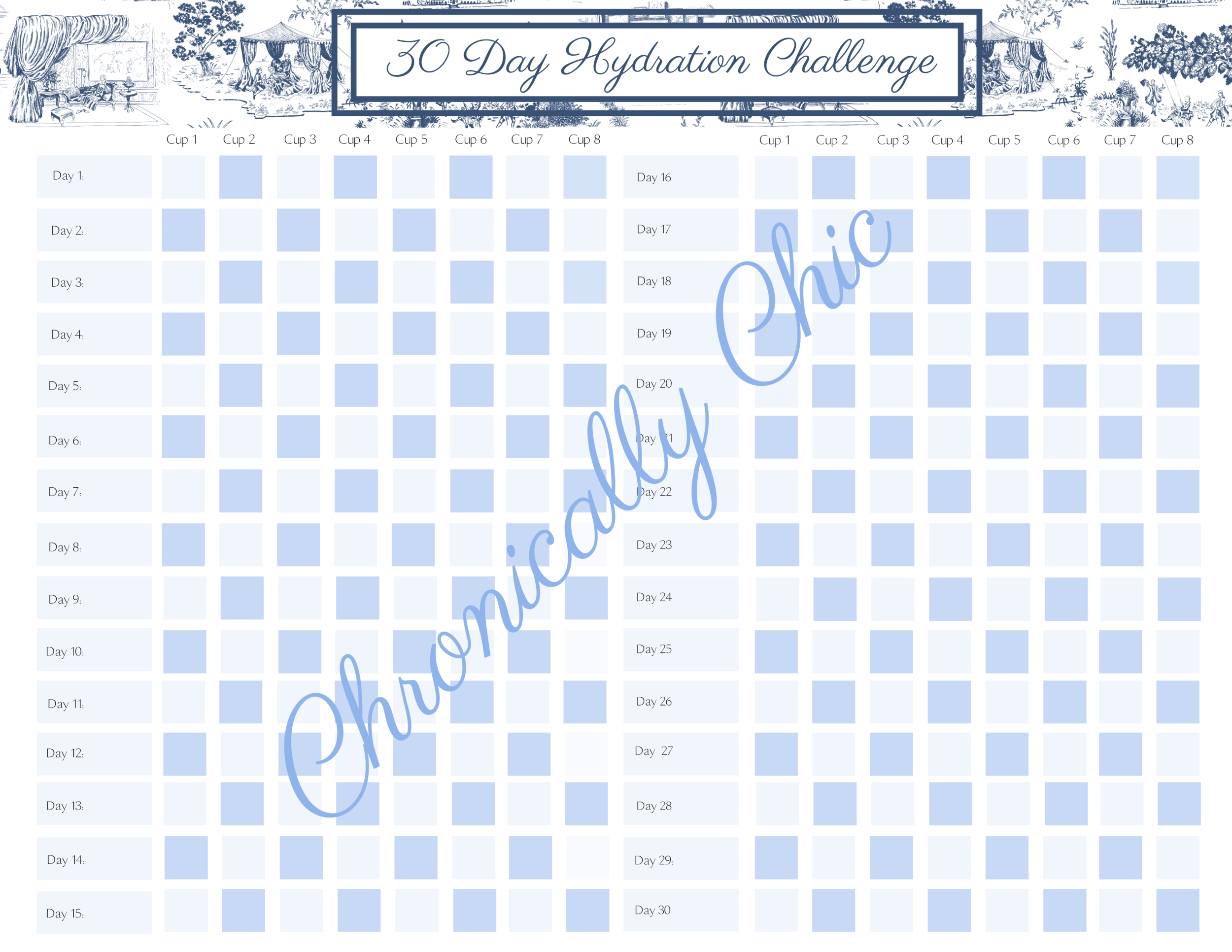 Hydration Challenge | Chronically Chic