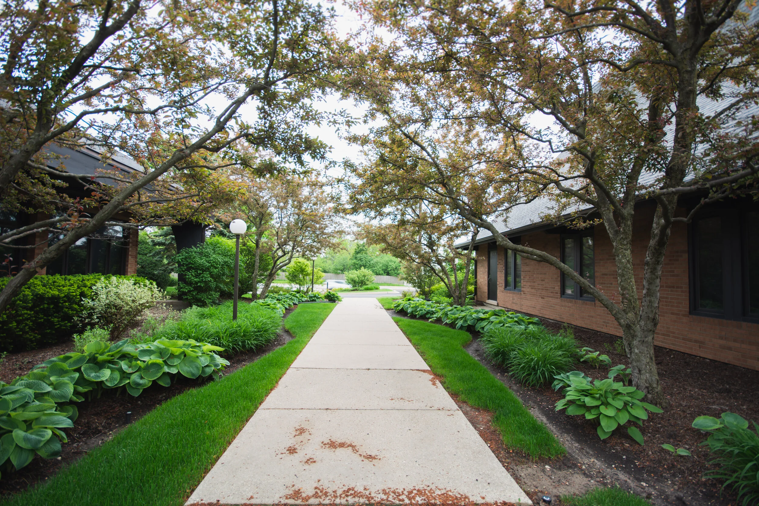 North Suburban Church