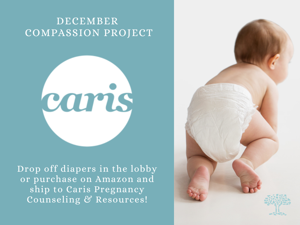 December Compassion Project - Diapers for Caris — North Suburban Church