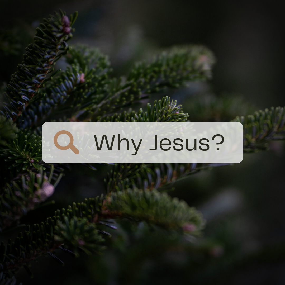 Advent 2021: Why Jesus? — North Suburban Church