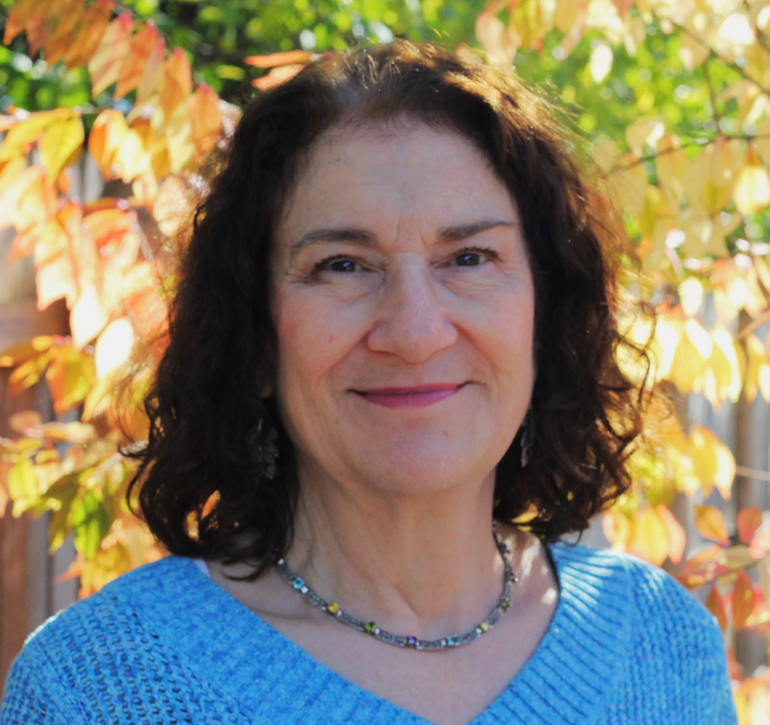 Melanie Rose — North Suburban Church