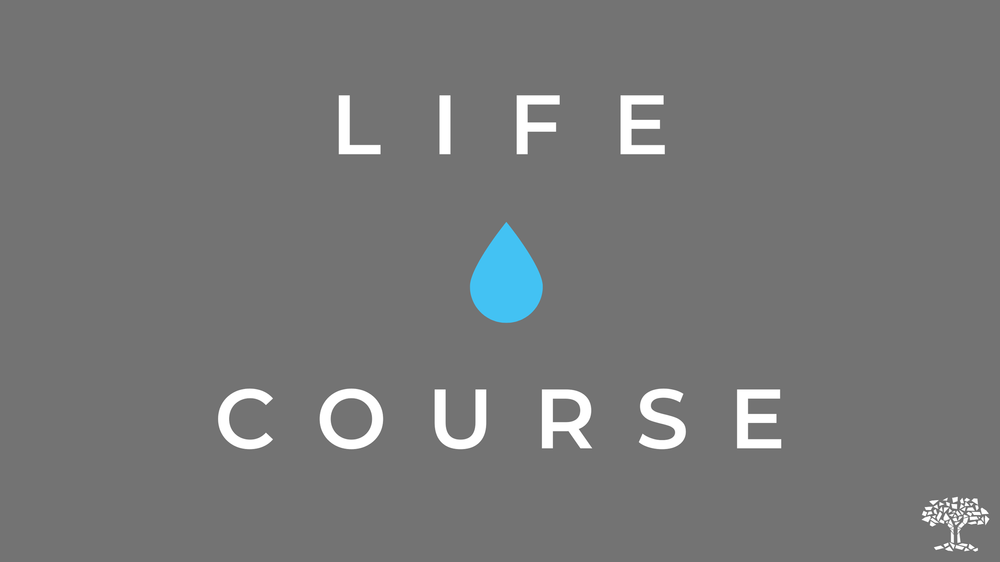 Life Courses — North Suburban Church