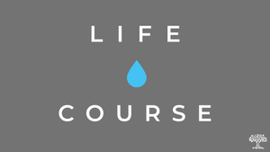 Life Courses — North Suburban Church