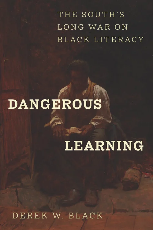 Dangerous Learning — Derek W Black