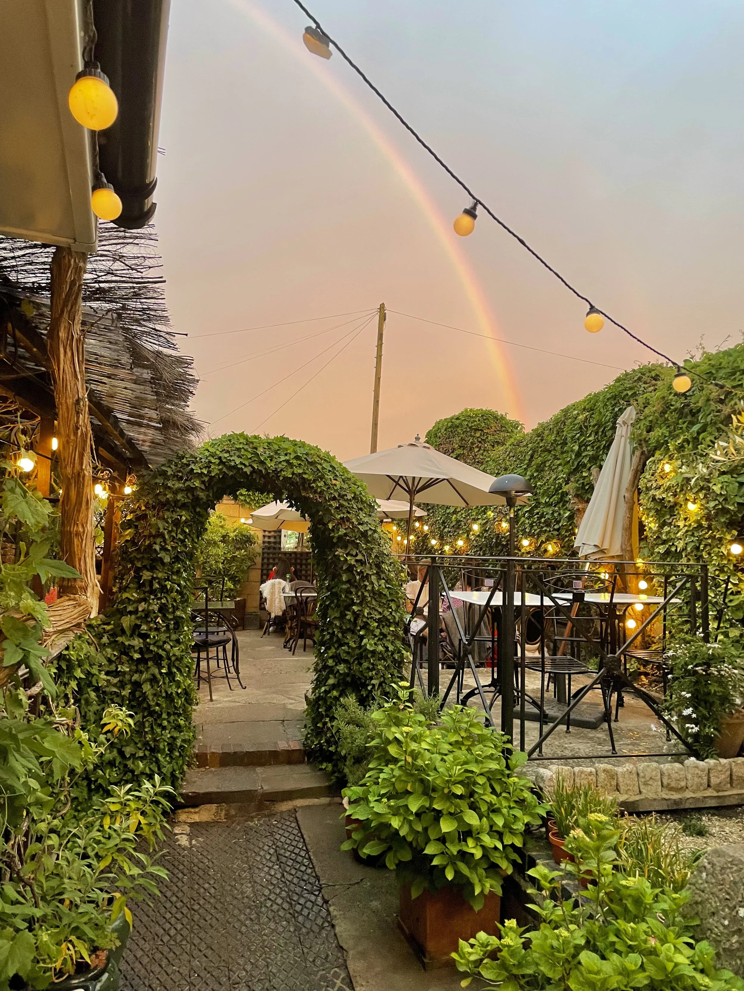 The Curious Cafe and Bistro