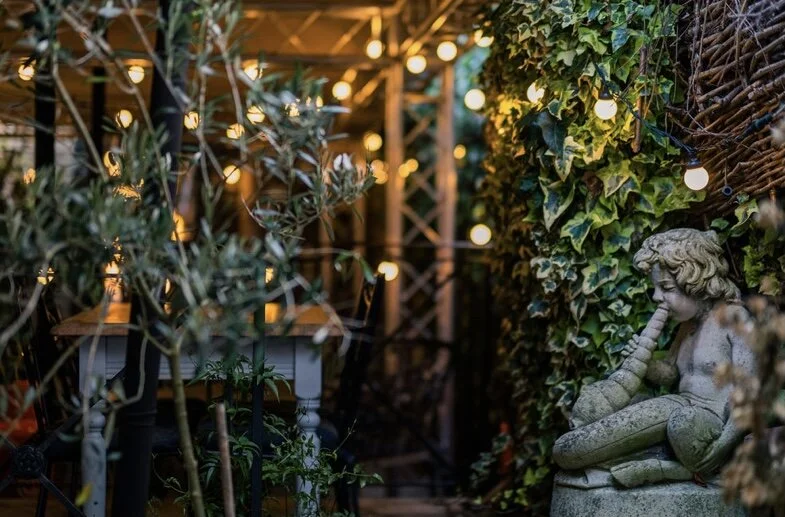 The Curious Cafe and Bistro