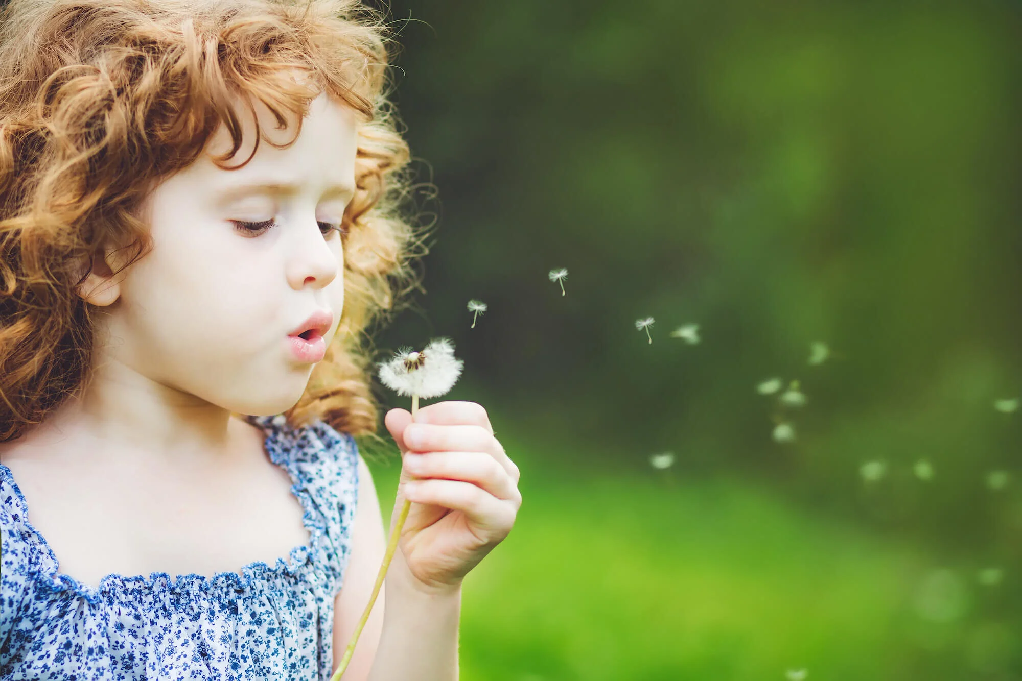 O'Bryan Law Firm | Davison Michigan | Estate Planning & Trusts