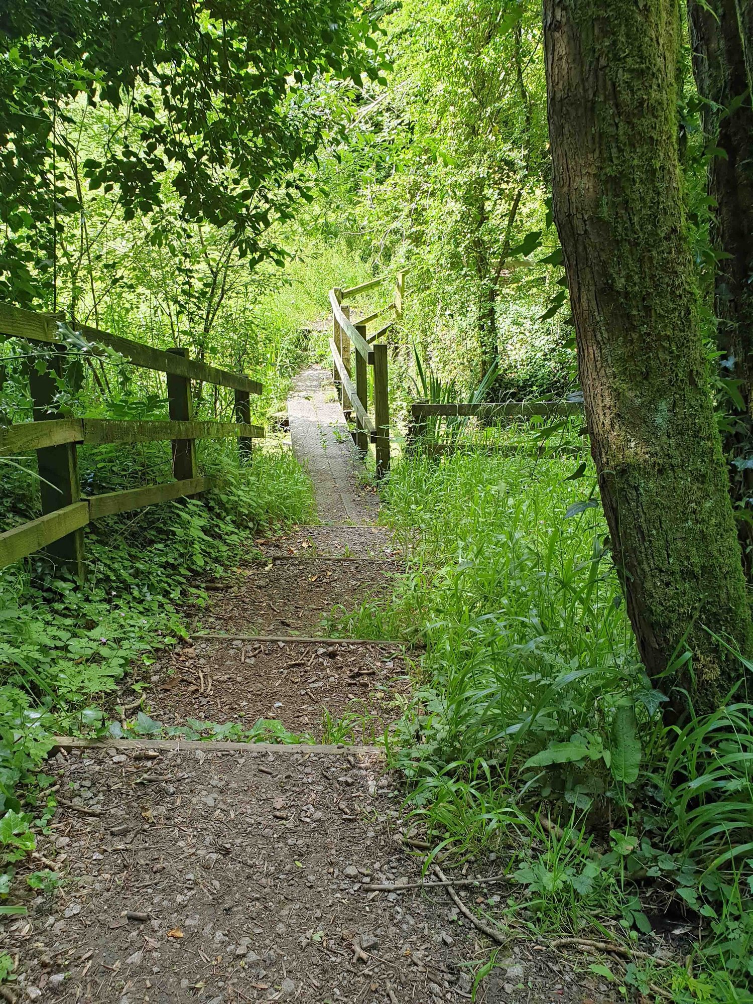 Circular Walk — DISCOVER BUCKINGHAM