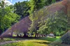 Chandos Park — DISCOVER BUCKINGHAM