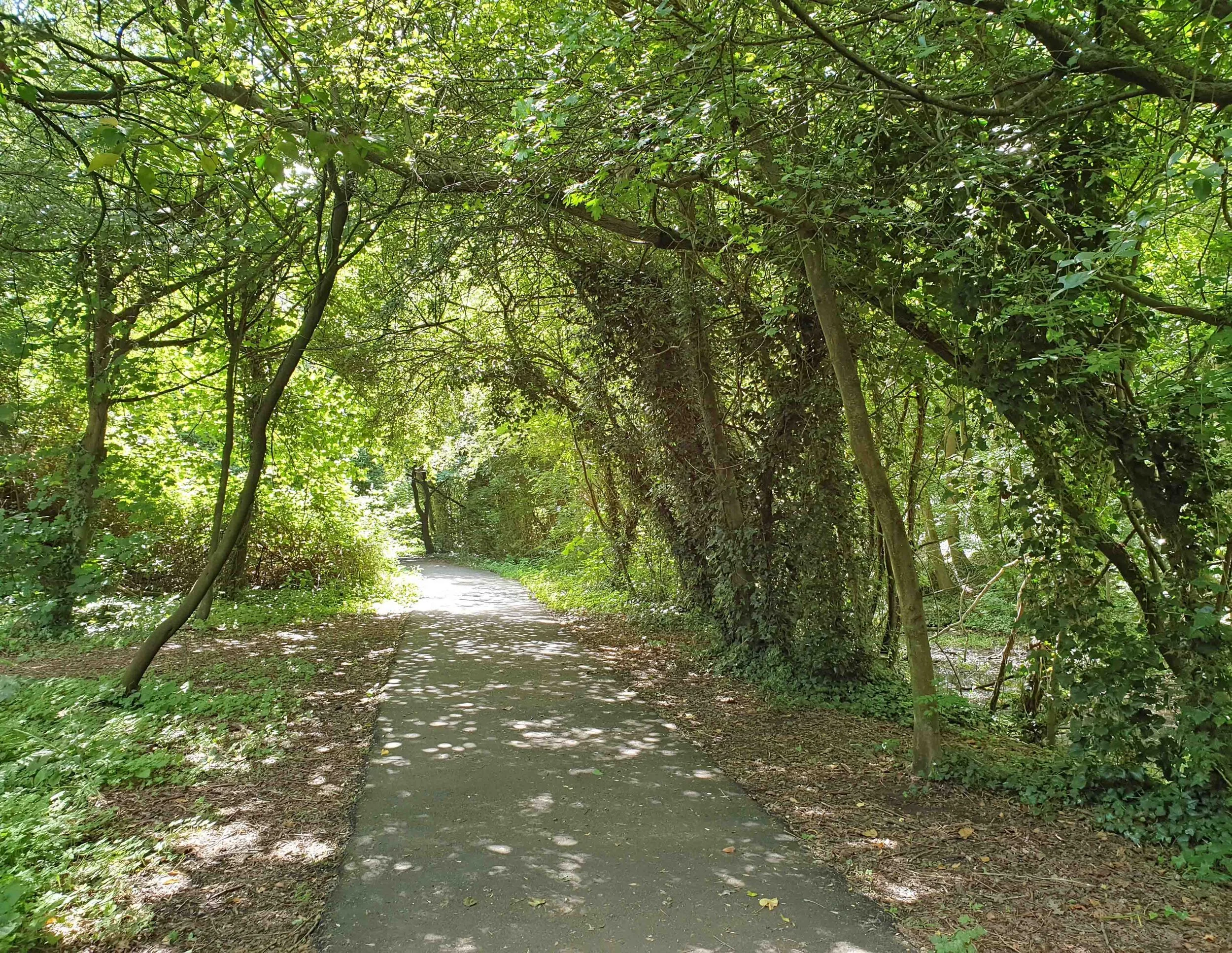 Railway Walk — DISCOVER BUCKINGHAM