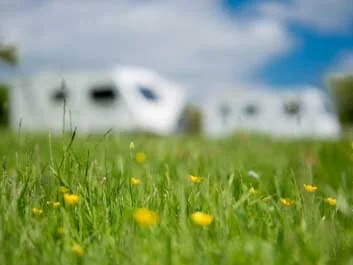 Wymondham Windmill - Historic Site, Tearoom, Shops & Events