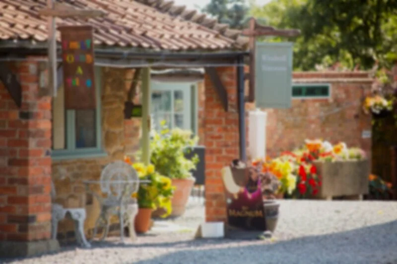 Wymondham Windmill - Historic Site, Tearooms & Shops
