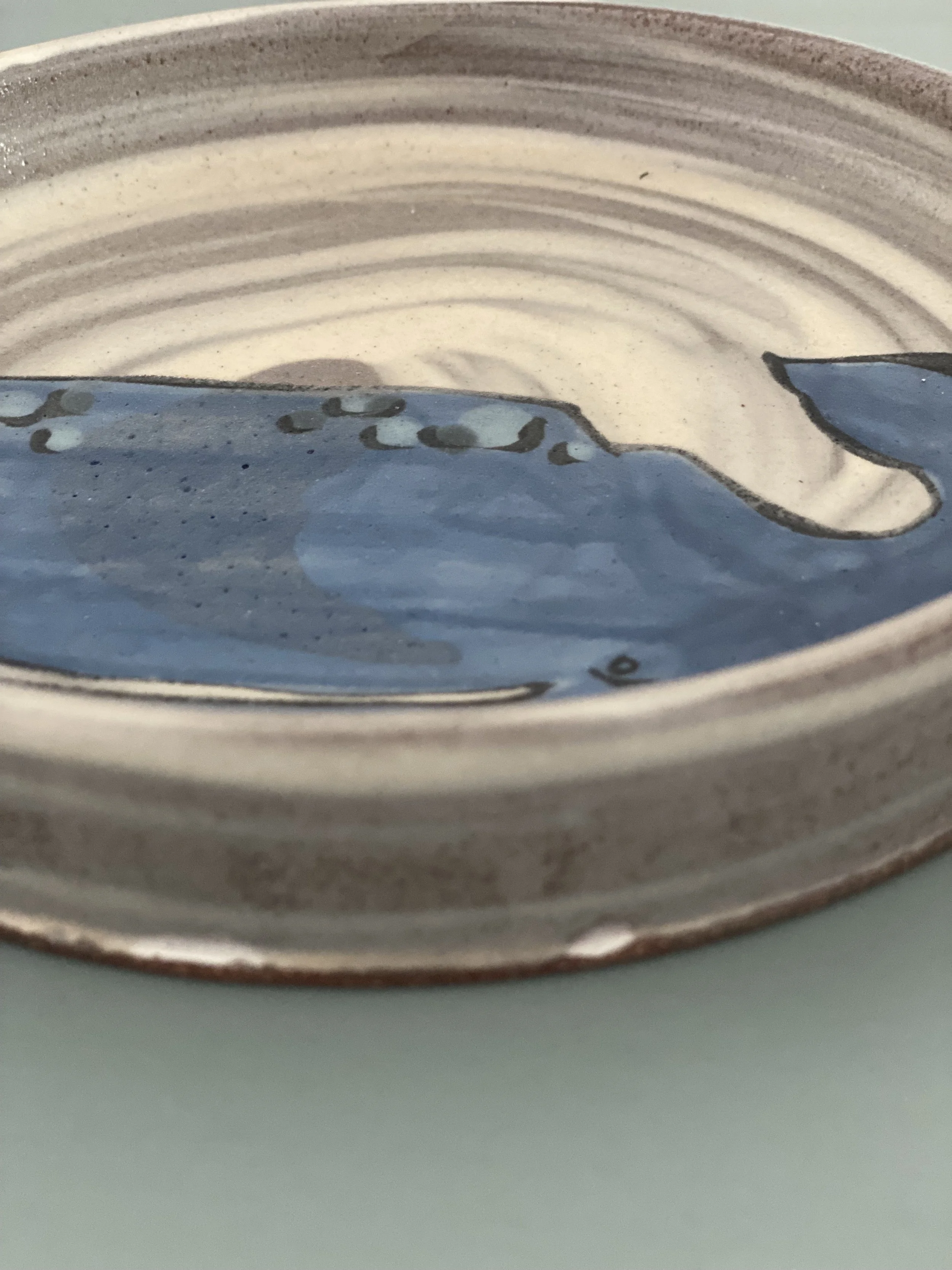 Shop — Delaware Bay Clay