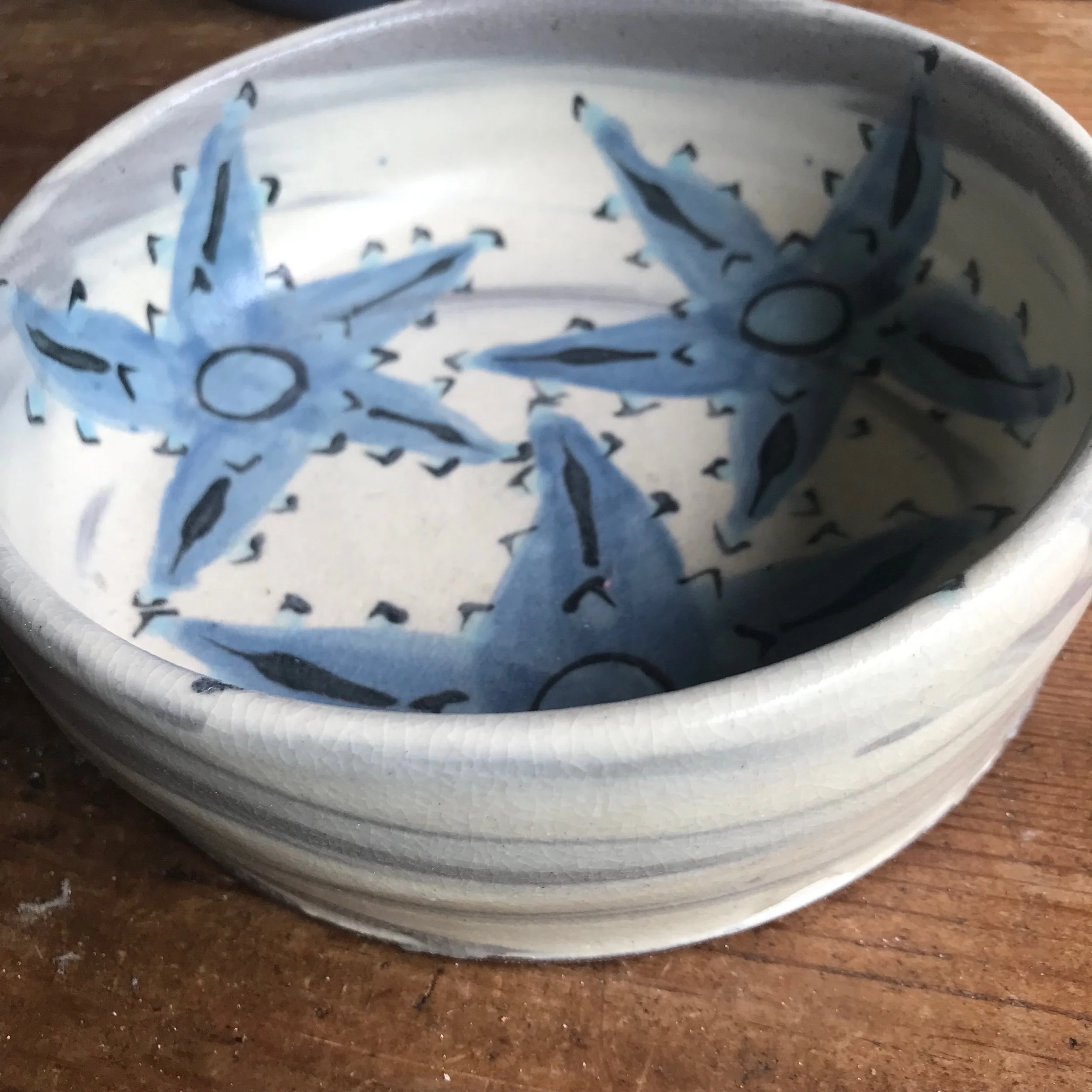 Shop — Delaware Bay Clay