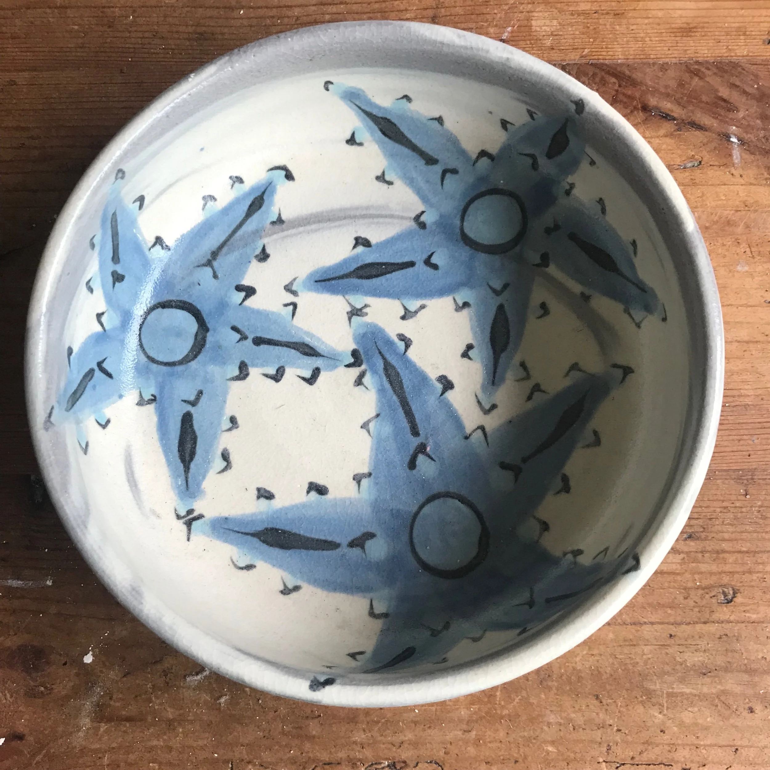 Shop — Delaware Bay Clay