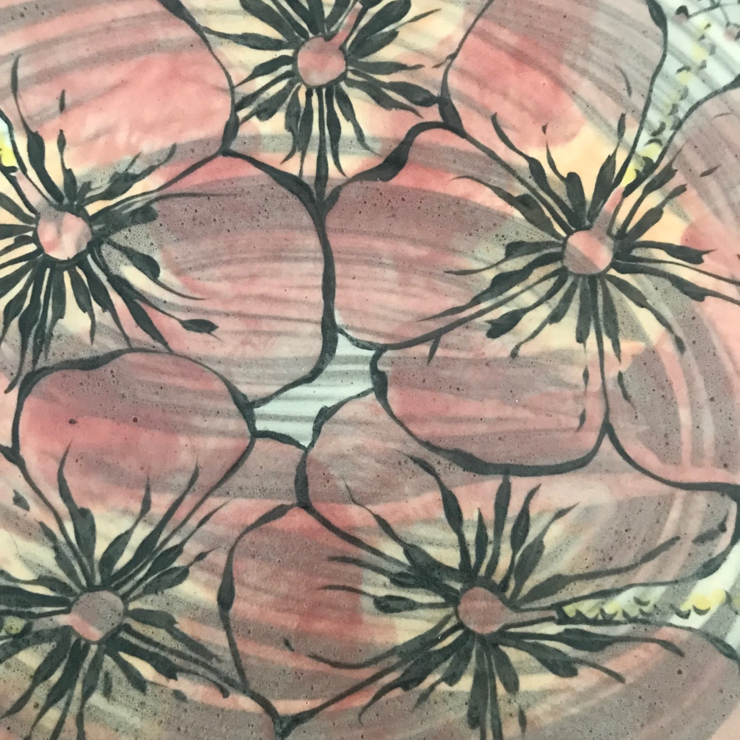 Shop — Delaware Bay Clay