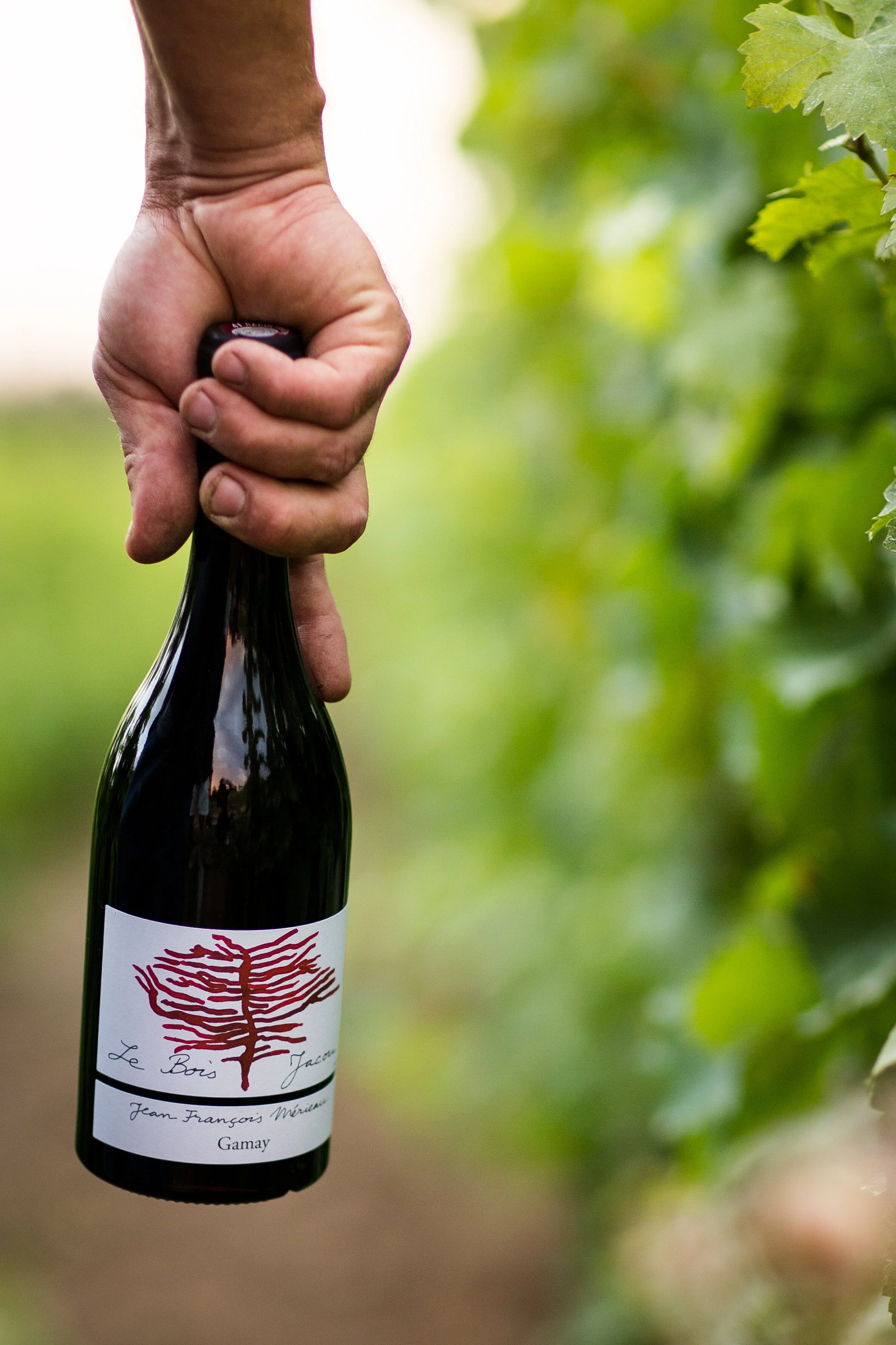 Jean-Francois Merieau, Touraine — Jon-David Headrick Selections