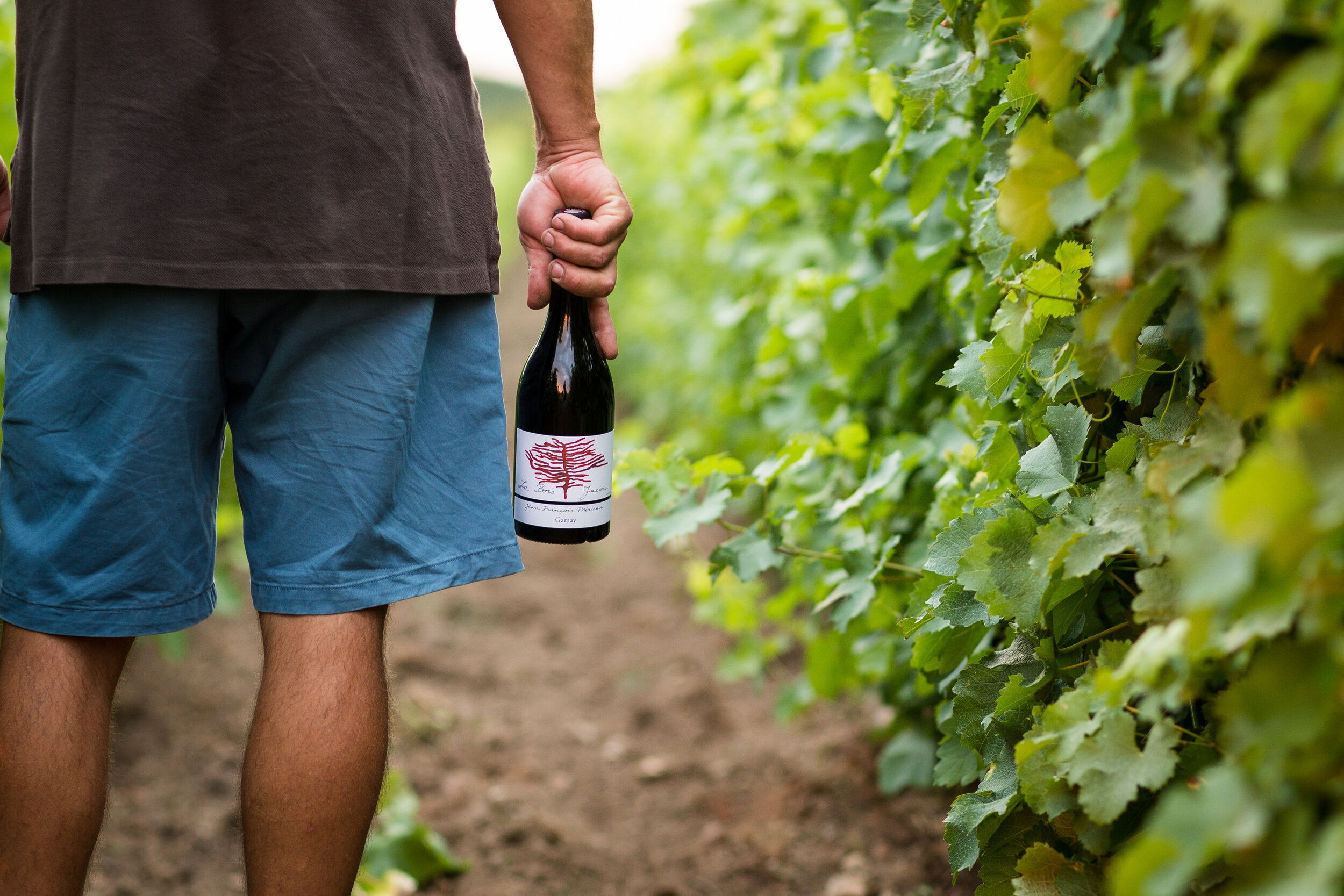 Jean-Francois Merieau, Touraine — Jon-David Headrick Selections