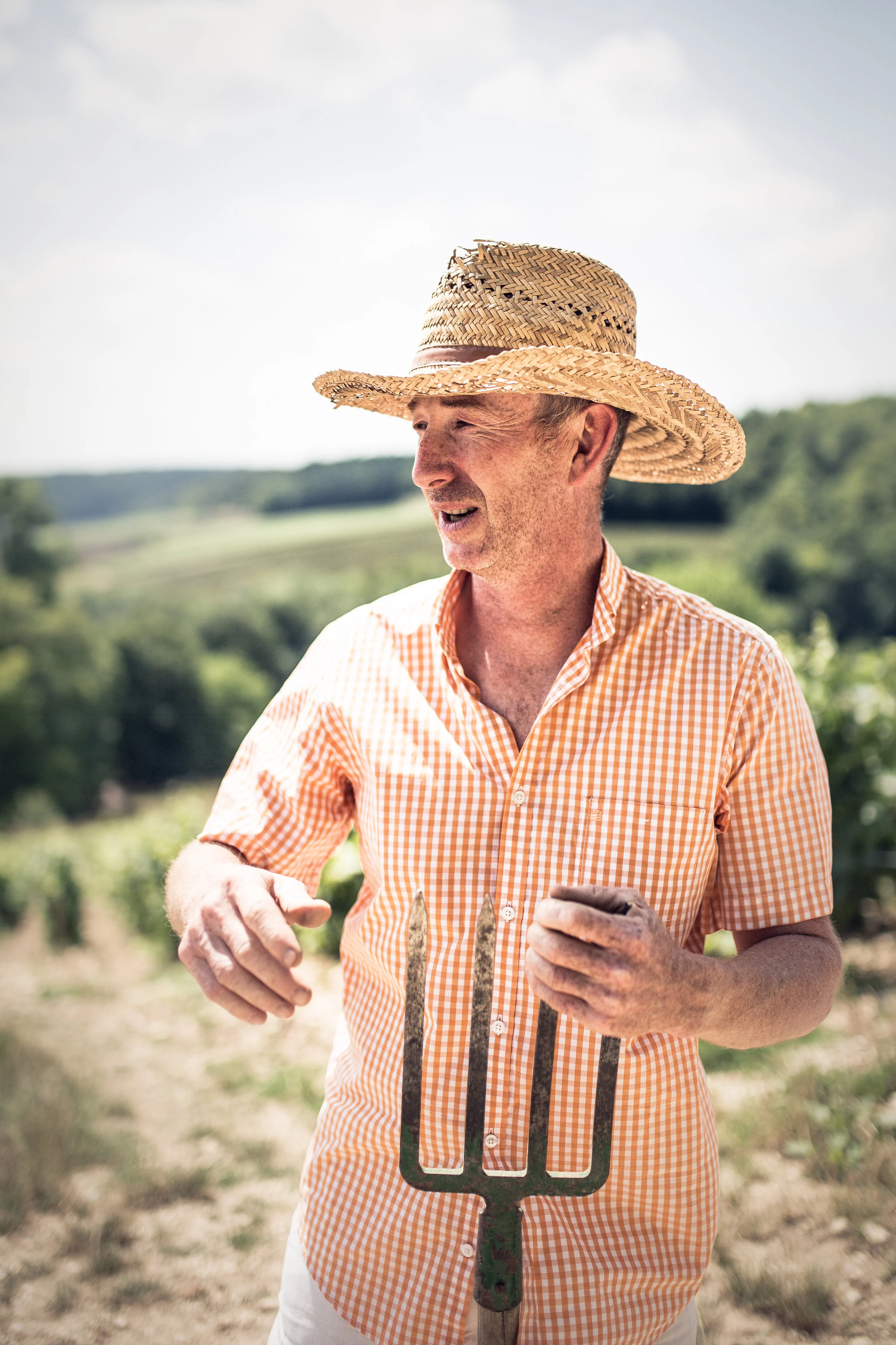 Wine and Cider Properties — Jon-David Headrick Selections