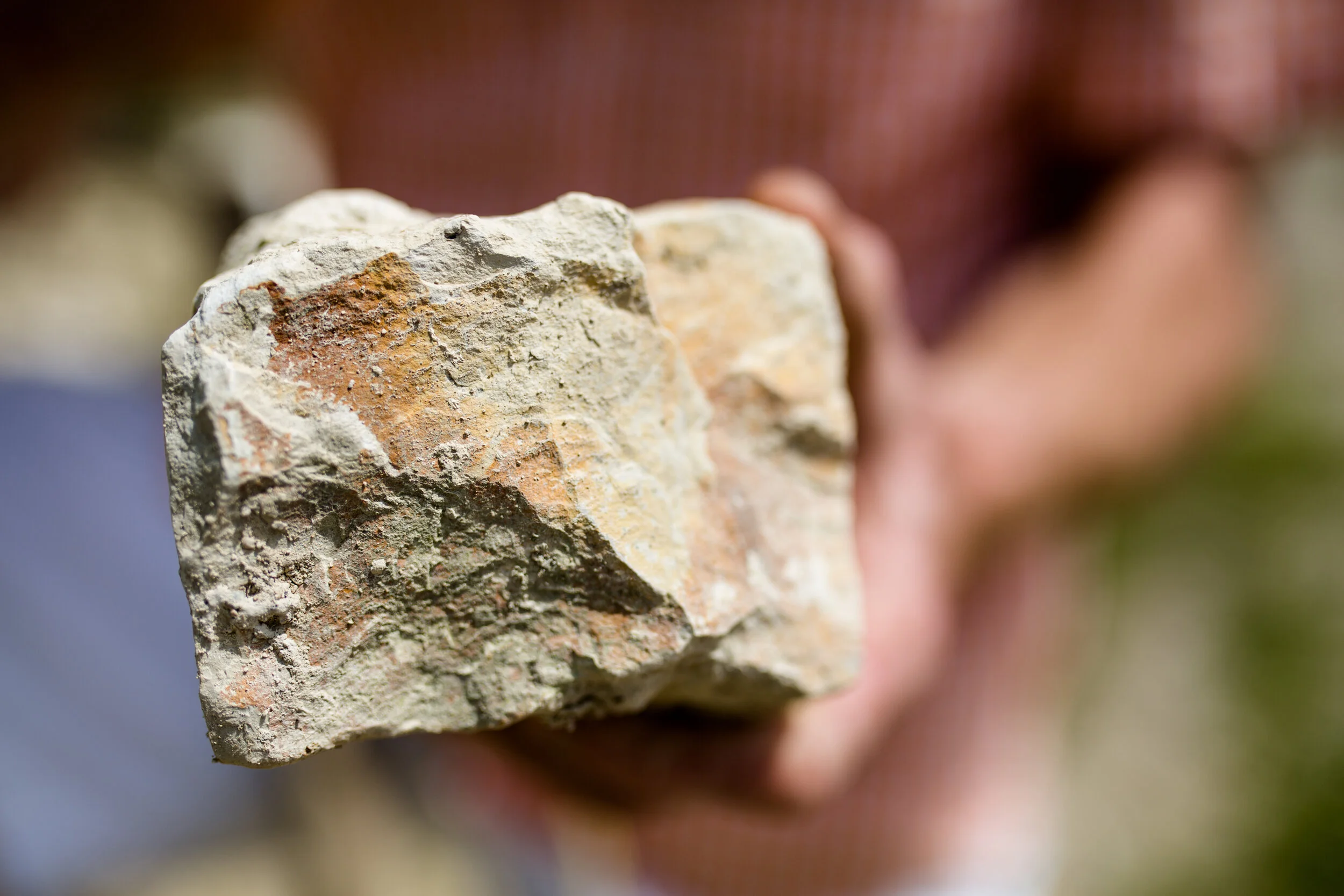 Champagne Vouette et Sorbée, Aube — Jon-David Headrick Selections