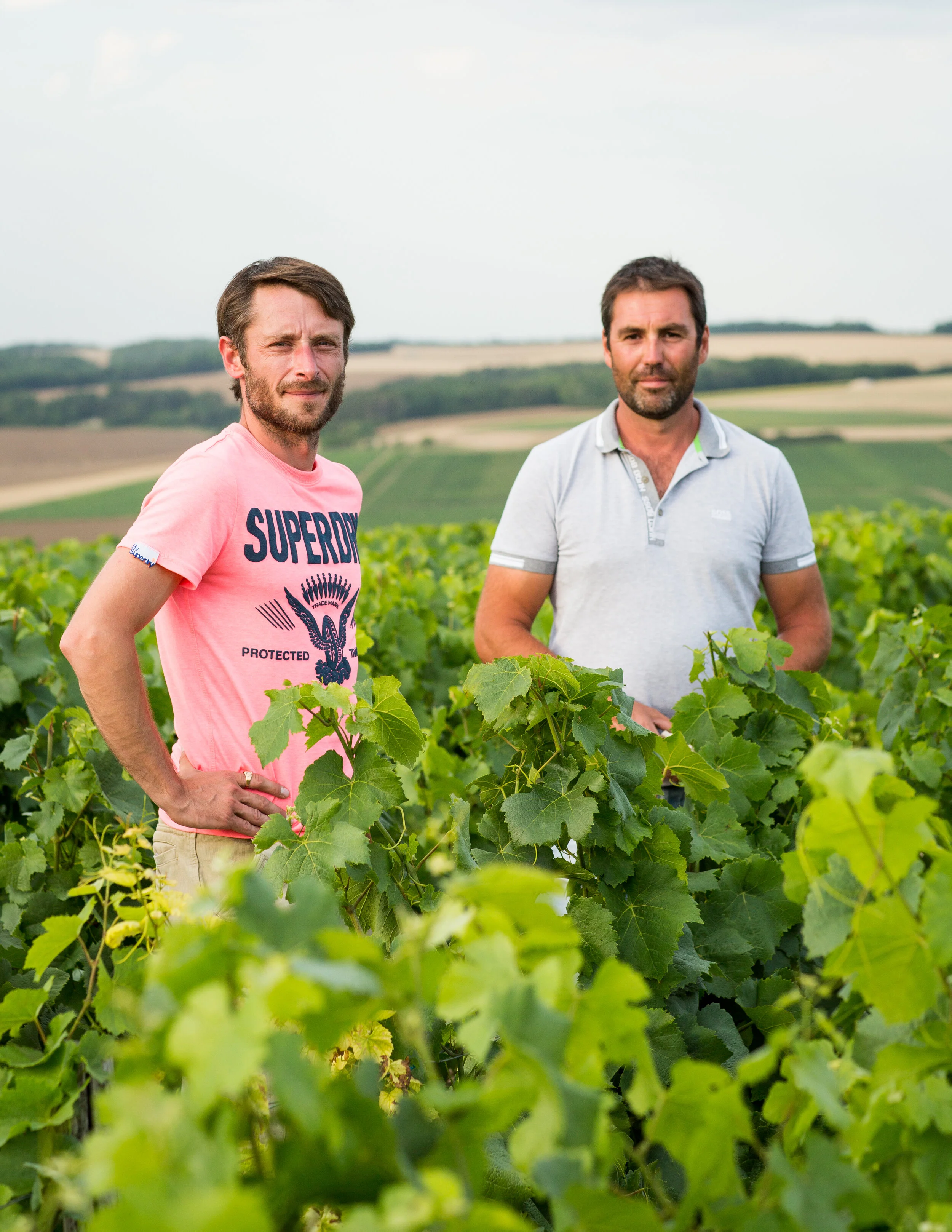 Champagne Dosnon, Aube — Jon-David Headrick Selections