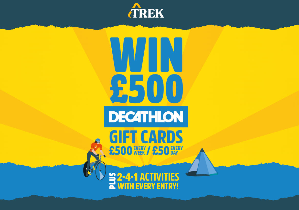 Our Campaigns — Cat Among The Pigeons